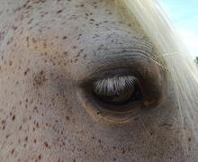 Home [www.spirit-ofthe-southwest.com]