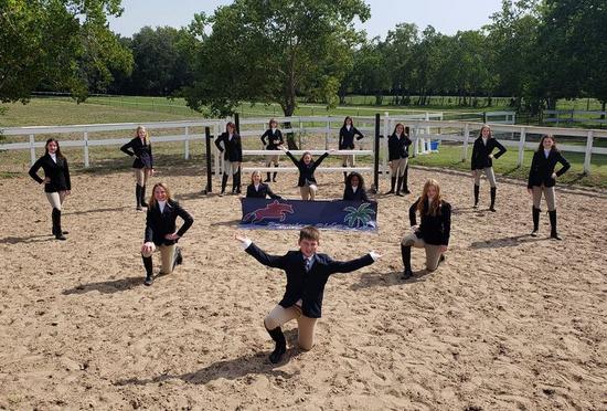 Home [www.bayviewequestrian.com]