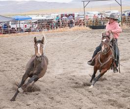 Home [www.thecowboylife.com]