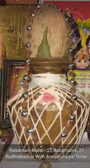Rasamanis – Mercury Beads with Navapashanam ( Parad Gutika )