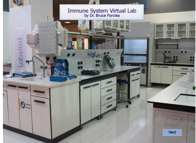 Lymphatic System and Immunity Activities Lymphatic System and Immunity Activities