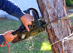 Home [www.berwicklandscaping.com]