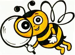 About Us - Curious Bee