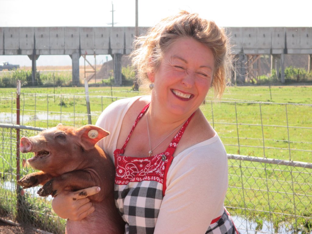 Animal photos, Pharm photos, Lambs, chicken, Beef, Pork