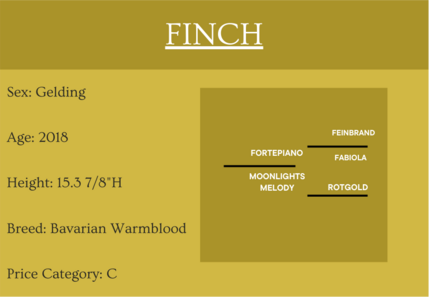 Current Sale Collection