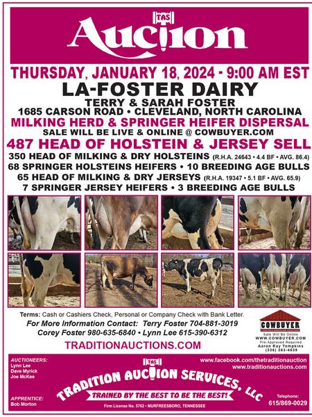 Home [www.traditionauctions.com]