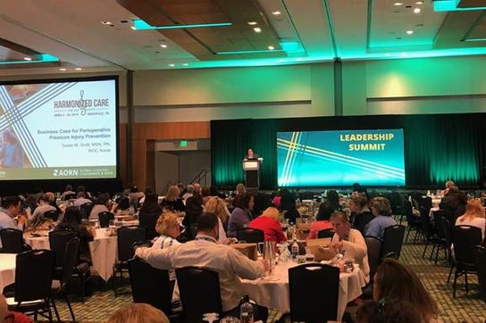 Scott Triggers Pllc - Online