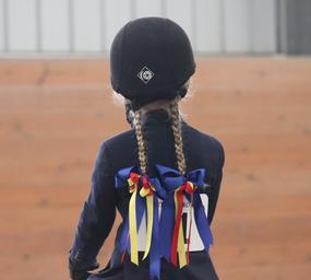 Home [www.autumngrovestables.net]