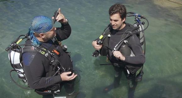 Home [www.bluestonediveresort.com]