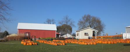 Home [www.spiekerspumpkinfarm.com]