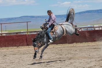 Home [www.thecowboylife.com]