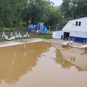 Springfield Swim Club - Online