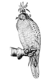 Welcome to Masters Of The Skies