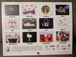 Home [www.therabbitresource.org]