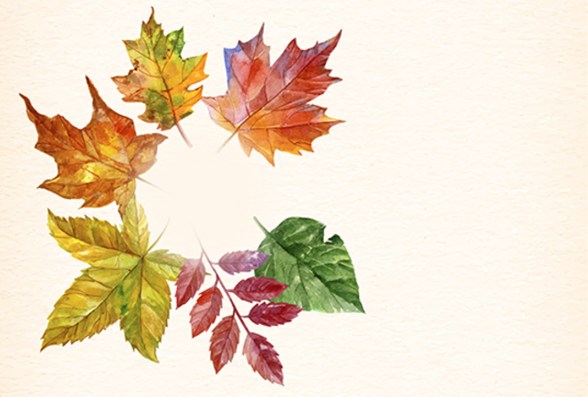 UBAM - Business Organization, Promote Local Developement