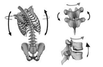The 7 Principles of Movement
