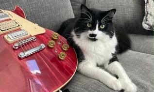 Welcome [www.paw-sit.com]