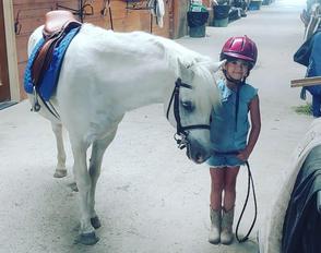 Home [www.autumngrovestables.net]