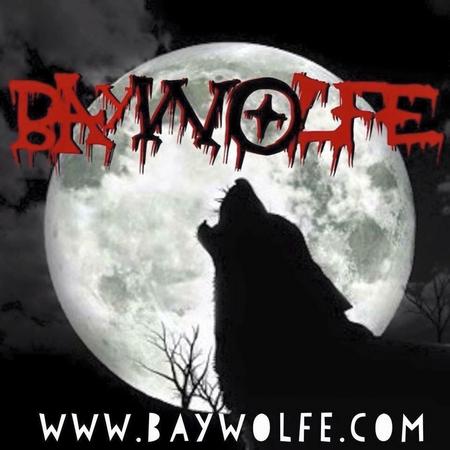 Baywolfe - Live Music Band, Entertainment, Party Entertainment