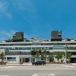 Solstice International Realty