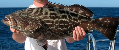 Reglamentos de Chernas