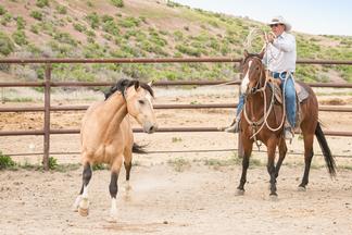 Home [thecowboylife.com]