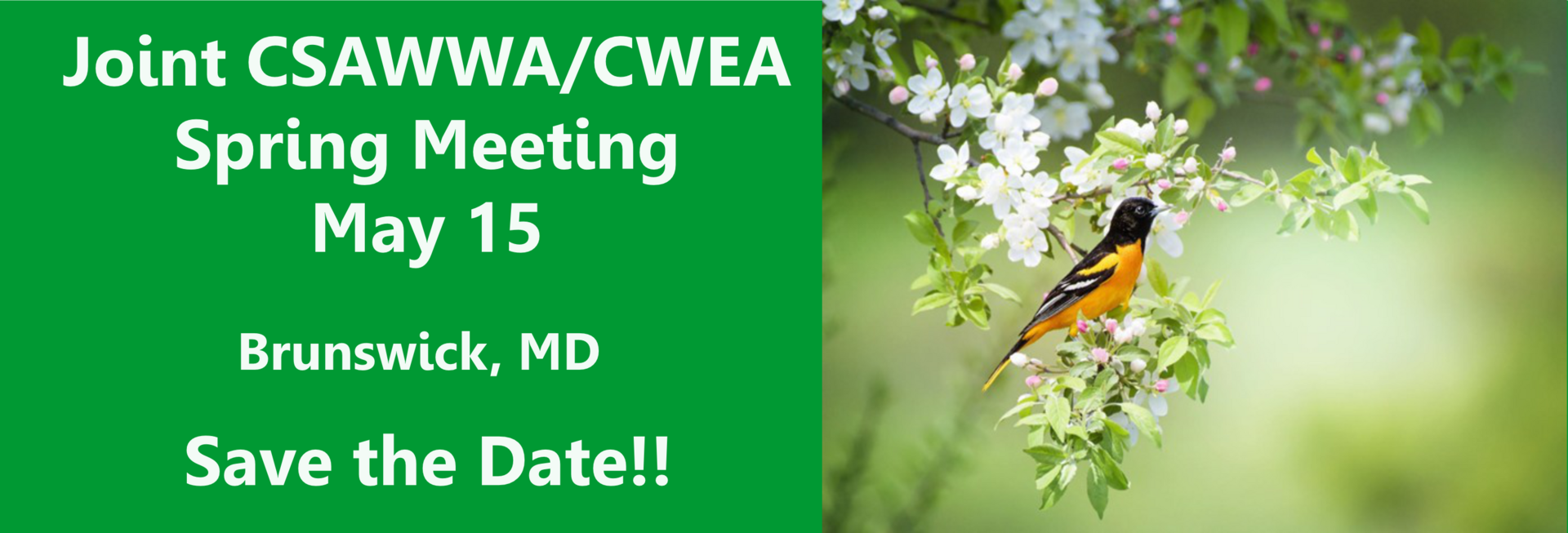 Home [www.csawwa.org]