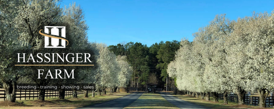 Welcome To Hassinger Farm