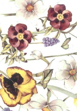 50x70 cm ceramic decal sheet - 50x70 cm hoja de calcomanía para ...