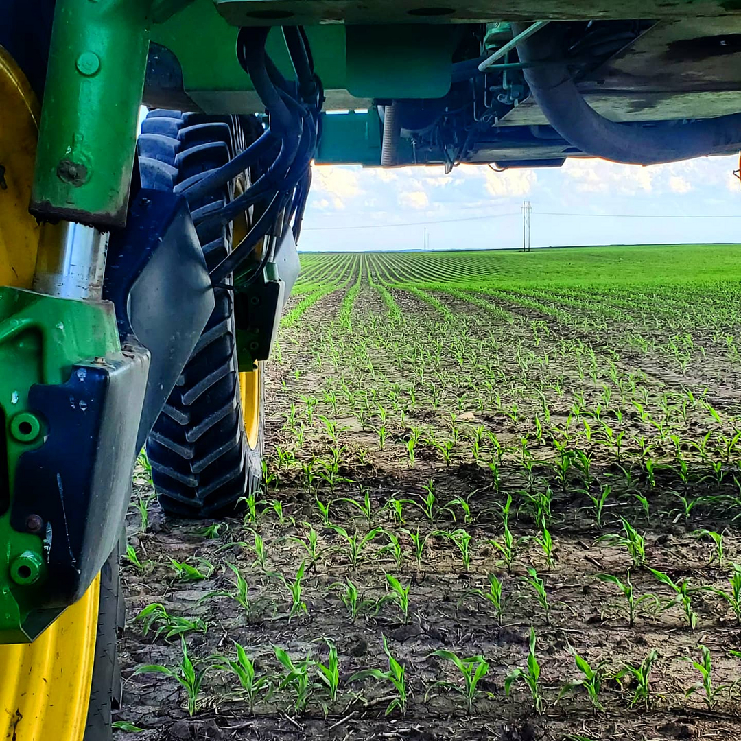 Central Illinois Farms | Wentworth Family Farms