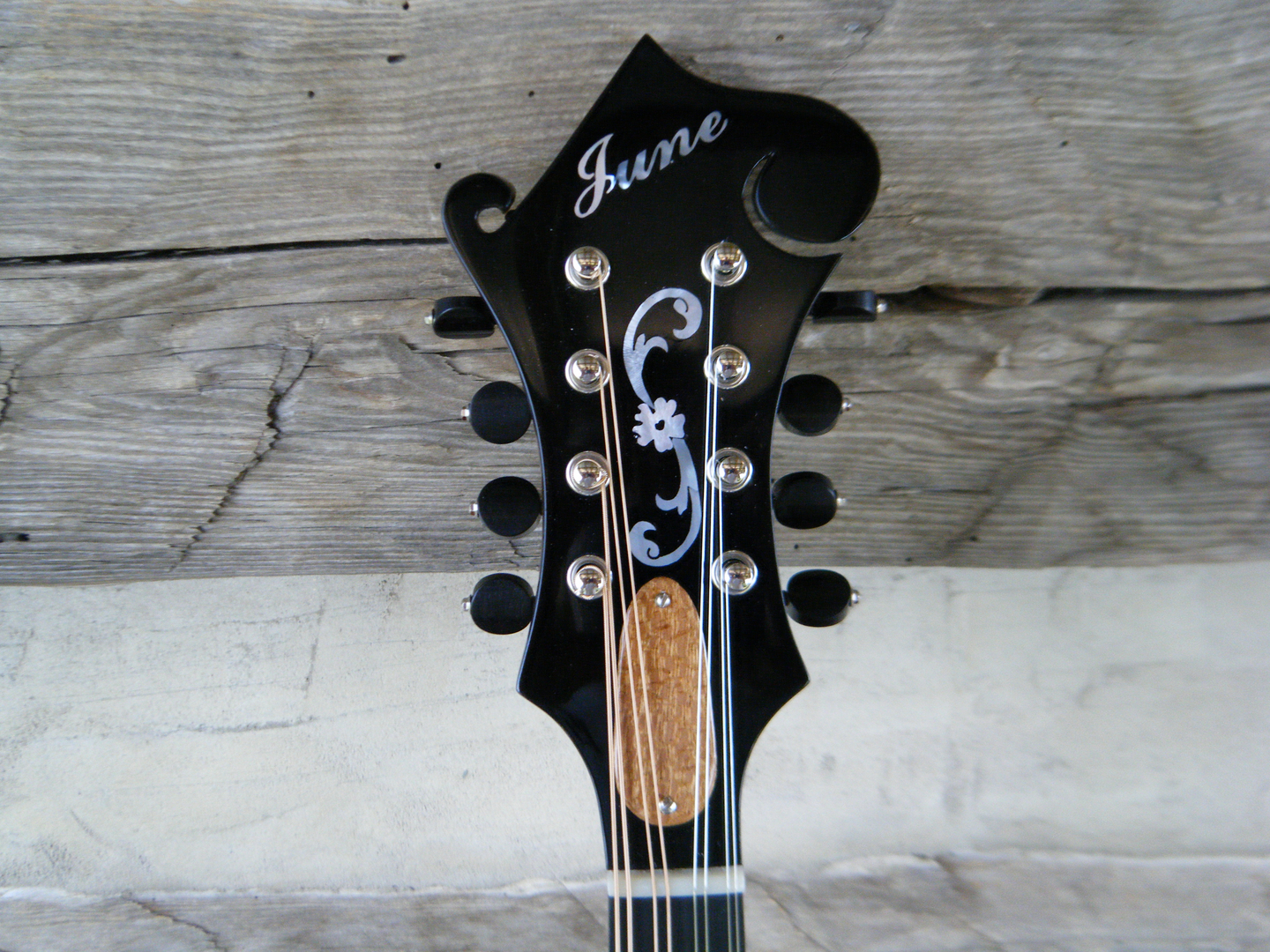 F5 Mandolins