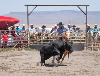 Home [www.thecowboylife.com]