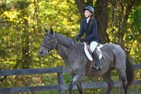 Lehigh Riding Club Home. Local hunter/jumper & dressage shows.