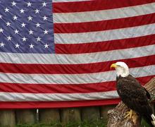 Home [www.spirit-ofthe-southwest.com]