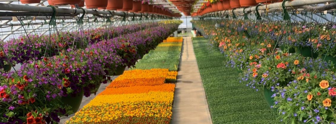 Welcome to WaterField Farms