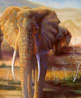 HOME [www.nancytroupe.com]