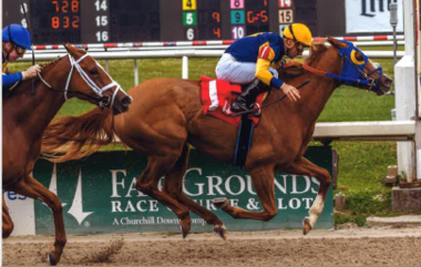 Home - Evans Thoroughbred Racing