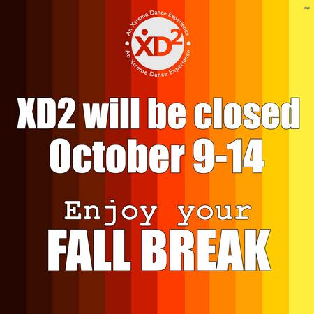 Home [www.xd2dance.com]