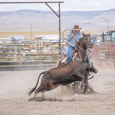 Home [www.thecowboylife.com]