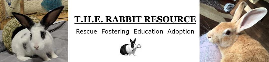 Home [www.therabbitresource.org]