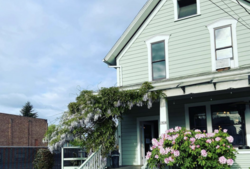 Home [www.telvetcoffee.com]