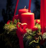 Home [www.thepalmettoclubdaytona.org]