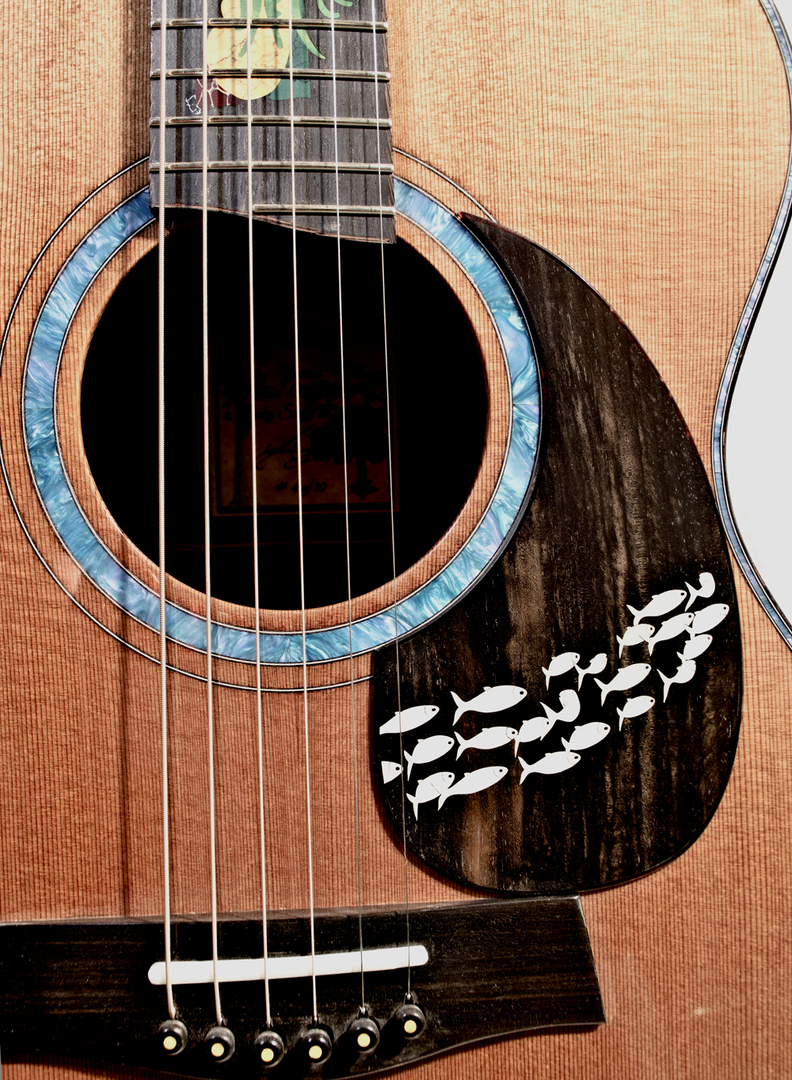 Harvey Leach inlays - Custom Inlays, Musical Instrument