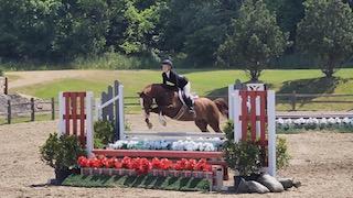 Boarding at Black Ridge Farm