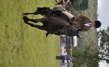 Home [www.nimmitabelshow.com.au]