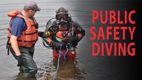 Home [www.bluedolphindiveshop.com]