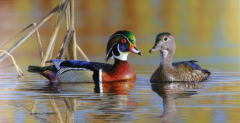 Home [www.richardclifton.com]