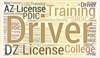 DZ Licence - "Pine Valley Driving Academy"