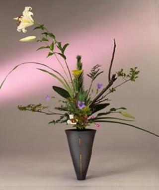 Home [www.ikenobola.com]