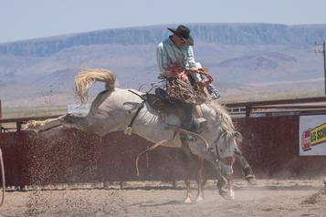 Home [thecowboylife.com]